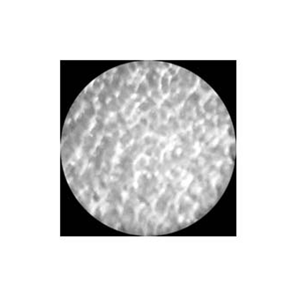 Gobo ROSCO Image Glass 33623 Reflections - Taille A (100 mm) - LA BS