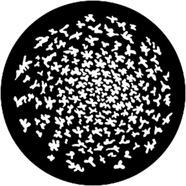 Gobo ROSCO DHA 79200 Swirling leaves - Taille A (100 mm) - LA BS